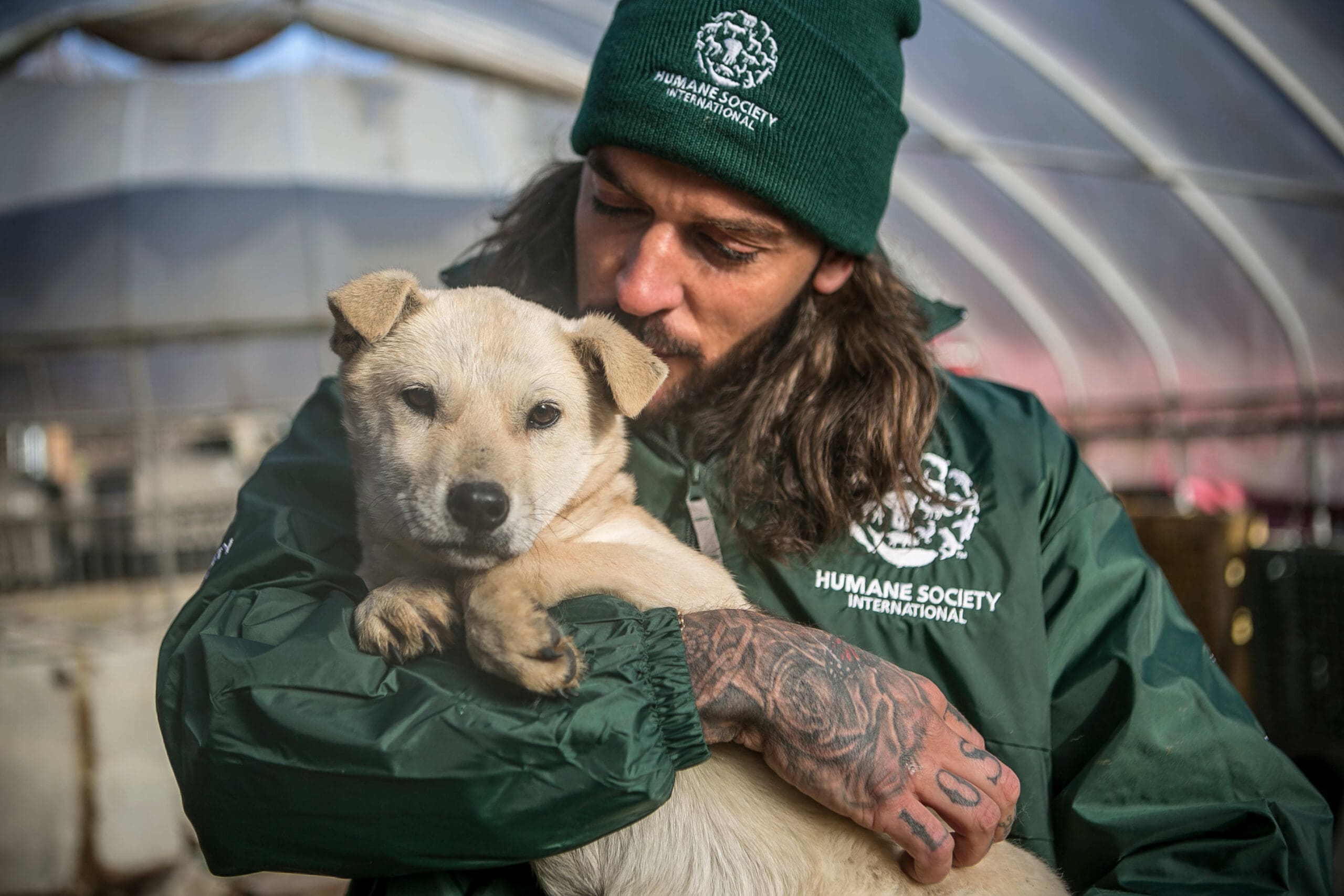 UK animal welfare charity changes name as part of global rebrand ...